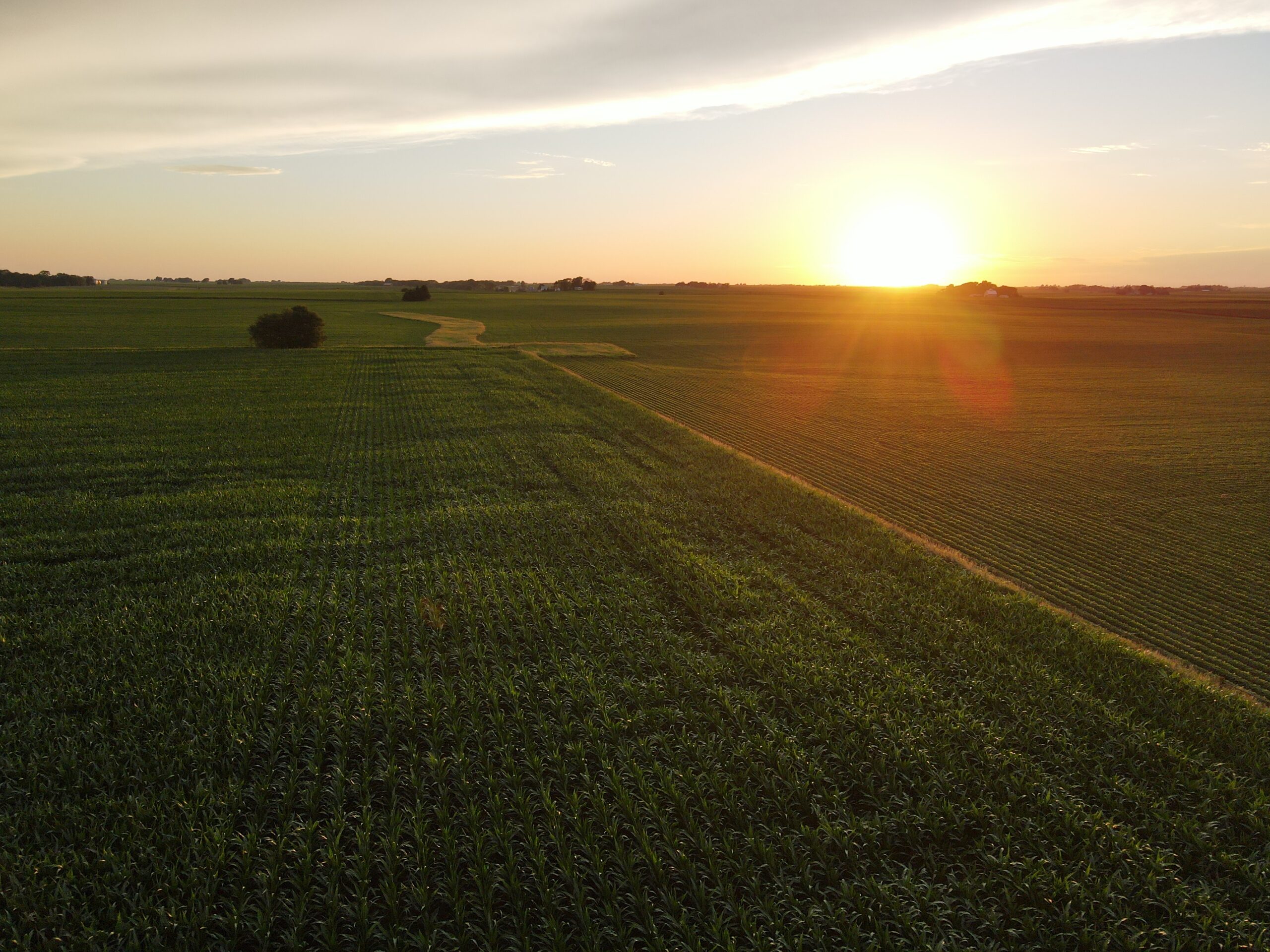 Farm Management - Summit Agricultural Group