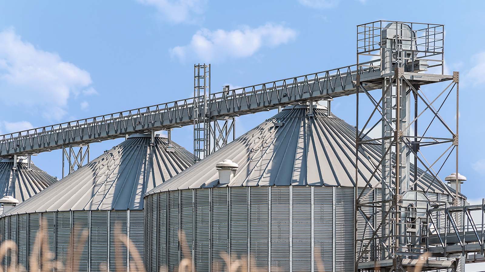 Summit Ag Investors - Summit Agricultural Group